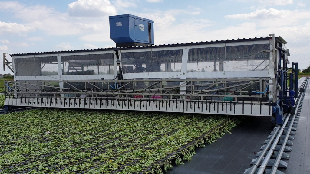 Rail system for conventional tray fields and greenhouses - GEGE ...